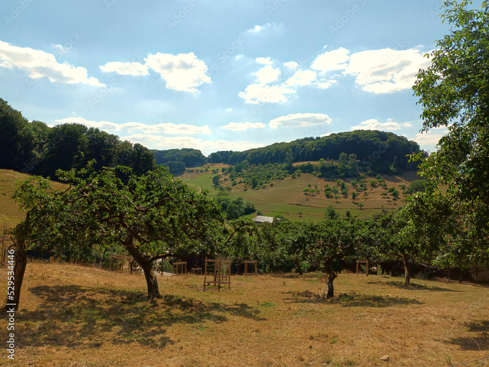 Landschaft im Mullerthal in Luxemburg bei Bigelbach und Beaufort in der ... Landschaft im Mullerthal in Luxemburg bei Bigelbach und Beaufort in der ...