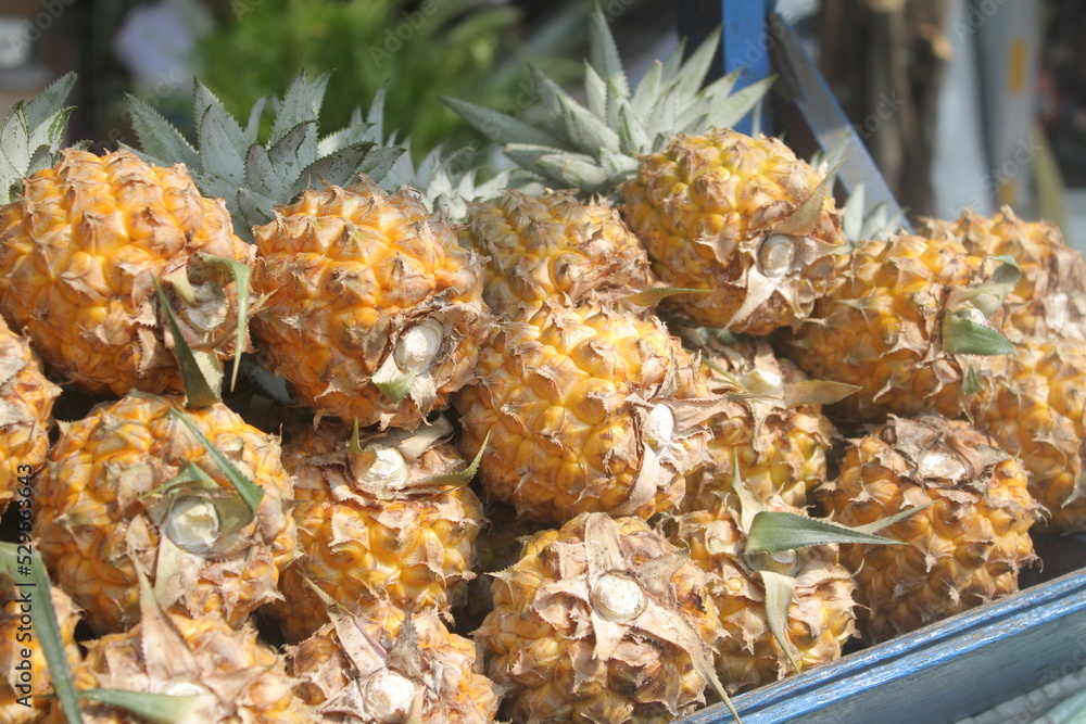 Pineapple is a tropical plant with edible fruit and the most ...