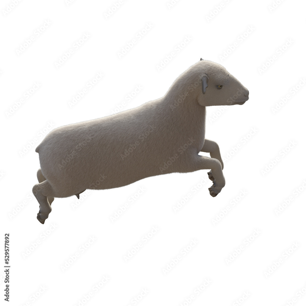 Sheep photorealistic in different poses on transparent background. 3D ...