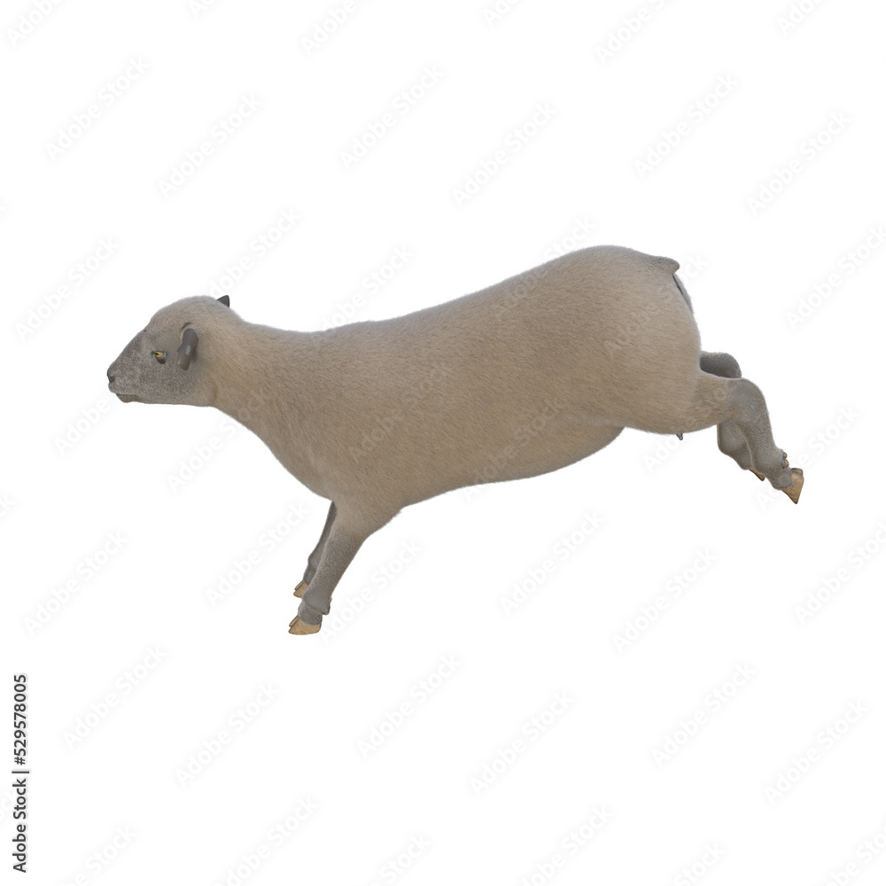 Sheep photorealistic in different poses on transparent background. 3D ...