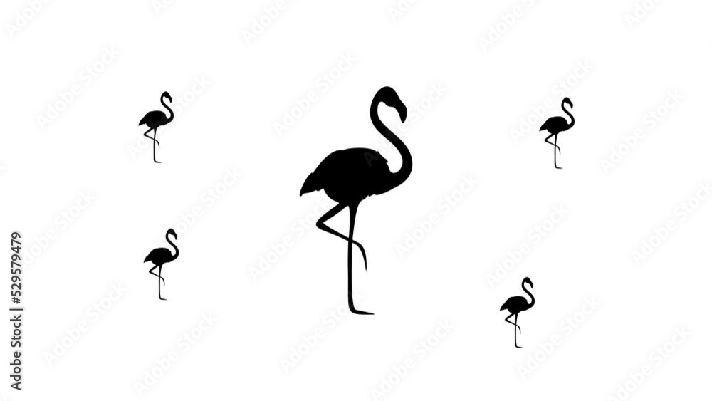 Zoom in and out animation the flamingos symbol. Large black symbol in ...