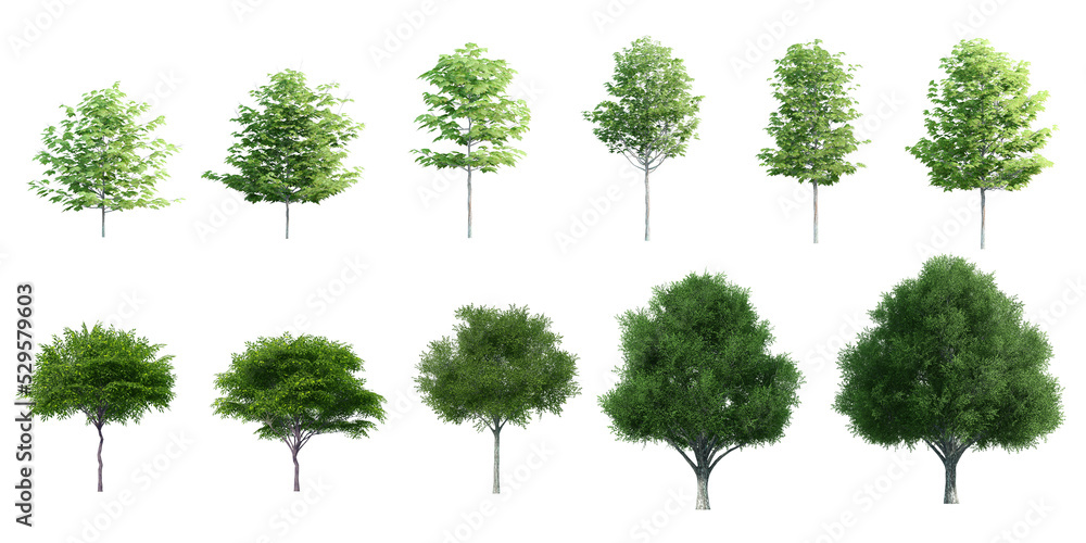 Collection Beautiful 3D Trees Isolated on PNGs transparent background ...