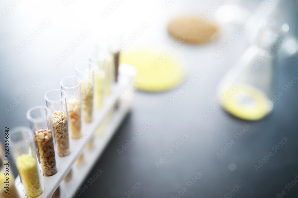 Research Analyzing Agricultural Grains And seeds In The Laboratory ...