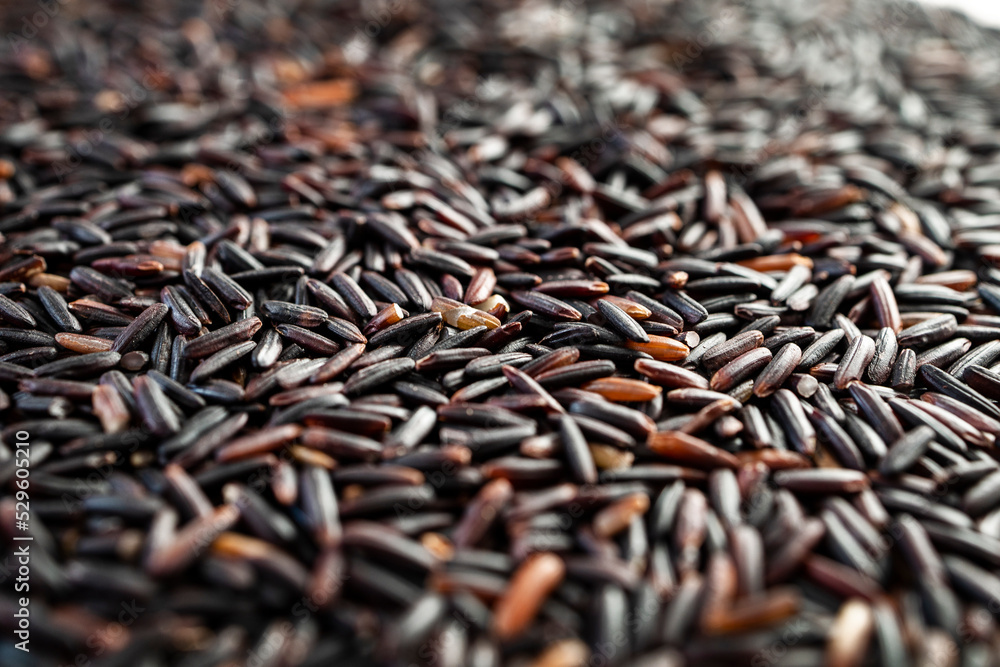 Black rice, also known as purple rice or forbidden rice. Organic ...