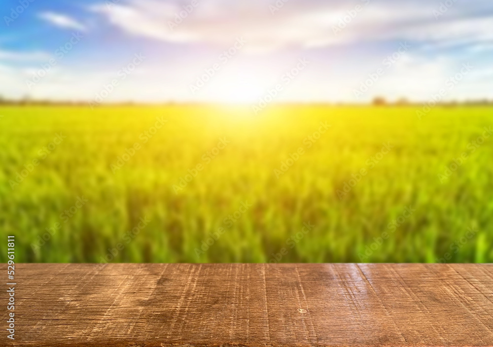 Wooden table top on blur rice field background in daytime.Harvest rice ...