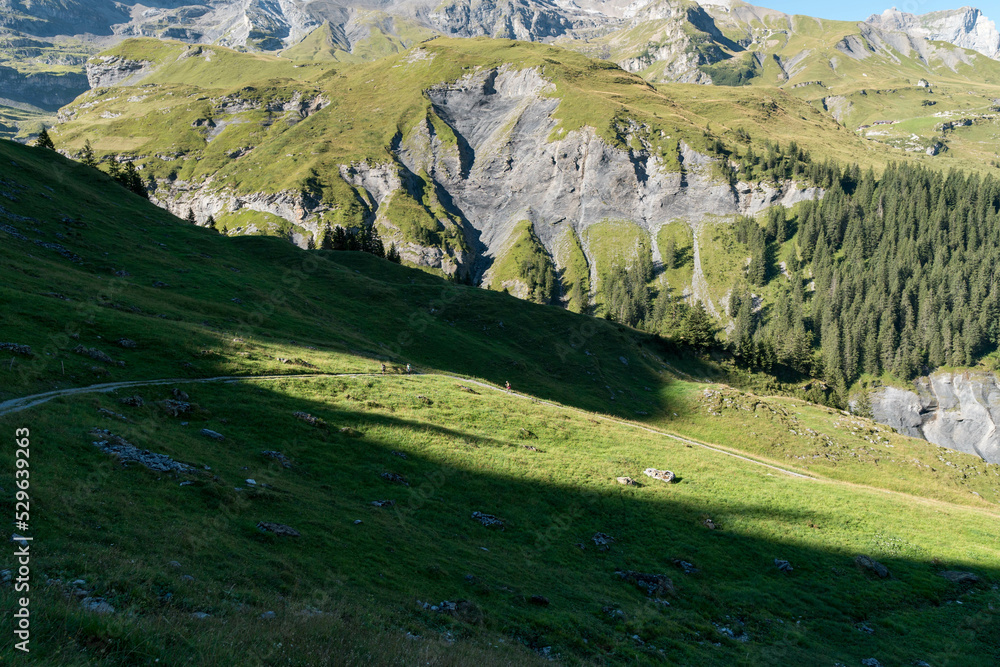 Via alpina trail switzerland. Morning view on Bernese range. Popular ...