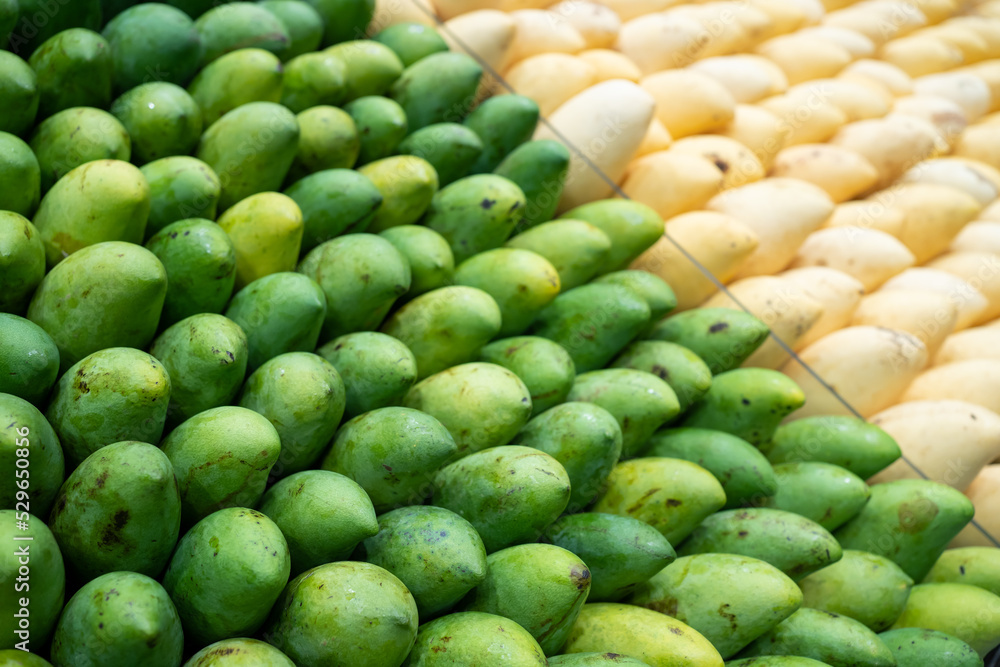 Freshness green and yellow mango arrange neatly on the fruit stall in ...