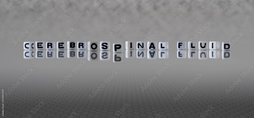 cerebrospinal fluid word or concept represented by black and white ...
