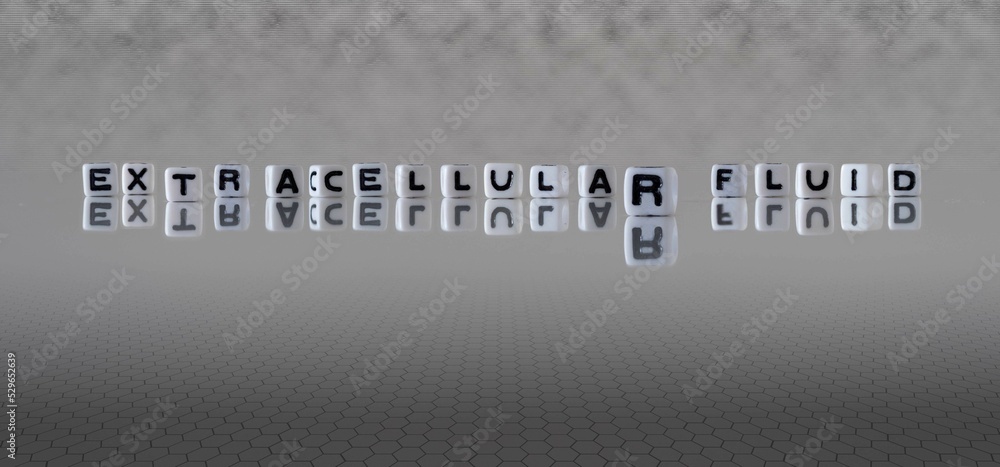 extracellular fluid word or concept represented by black and white ...