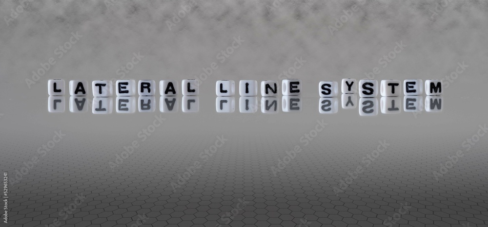 lateral line system word or concept represented by black and white ...