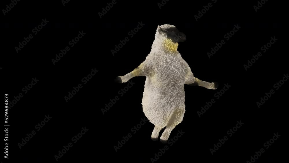 Sheep Dancing, Animal, 3d rendering, Animation Loop, cartoon, included ...