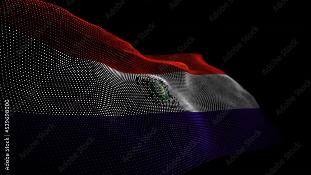 Seamless looping animated digital flag of Paraguay overlay rendered of ...