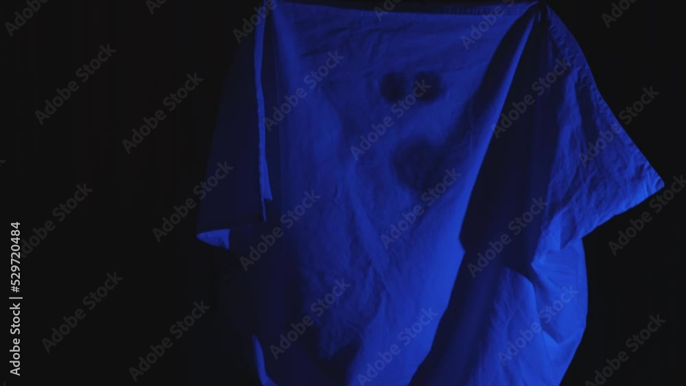 celebrating halloween home party concept: fancy carnival costume of ...