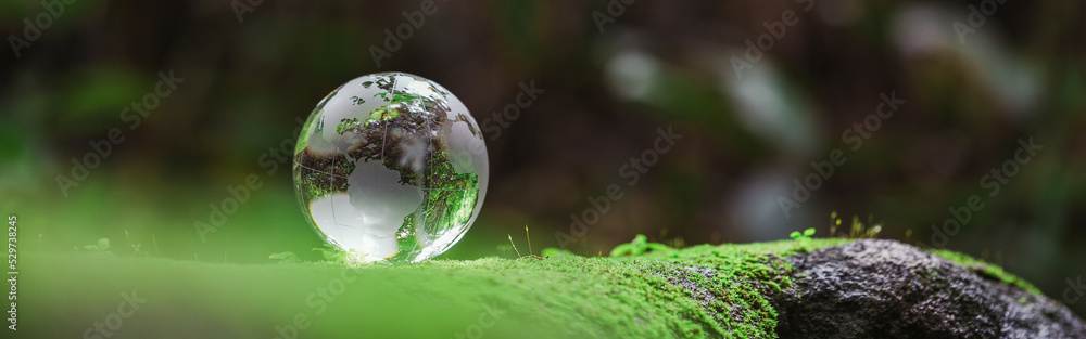 Globe planet glass in green forest with bokeh nature lights. world ...