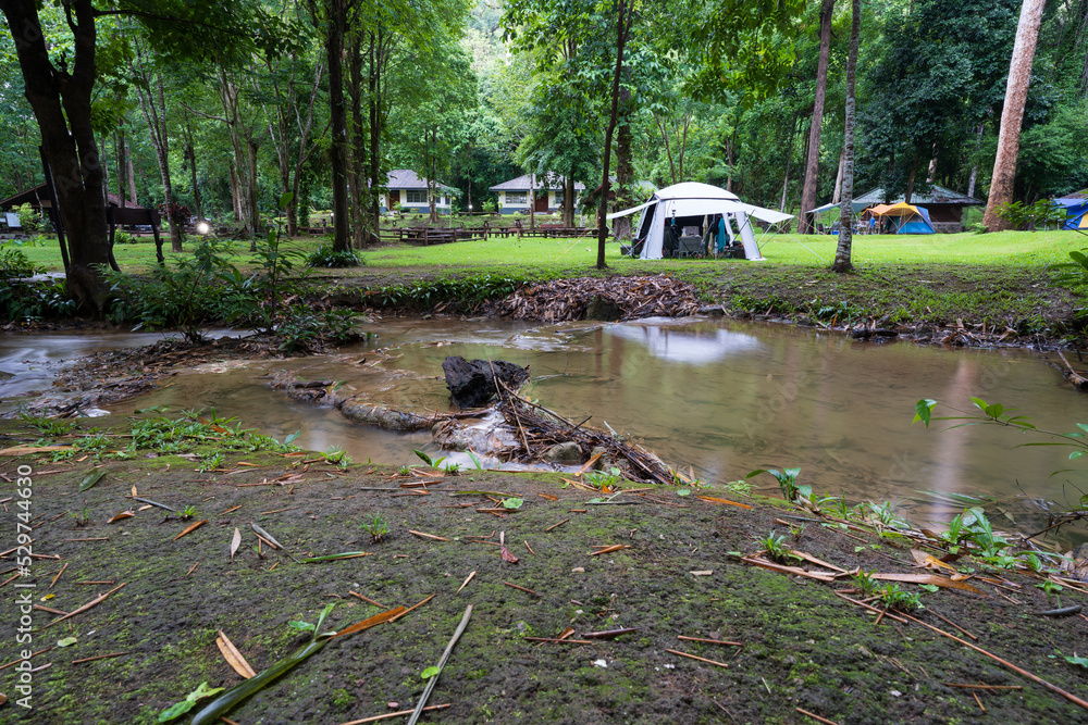 camping cabin tent on stream campground and tree in nature green forest ...