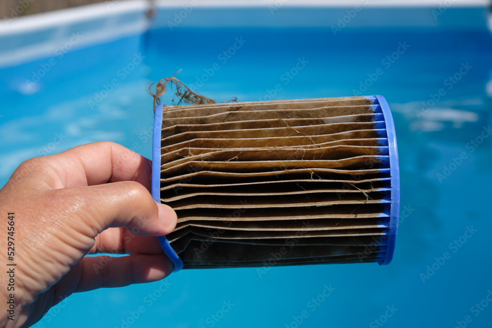 Dirty Replacement Pool Filter Cartridge in a woman's hand. Substances ...