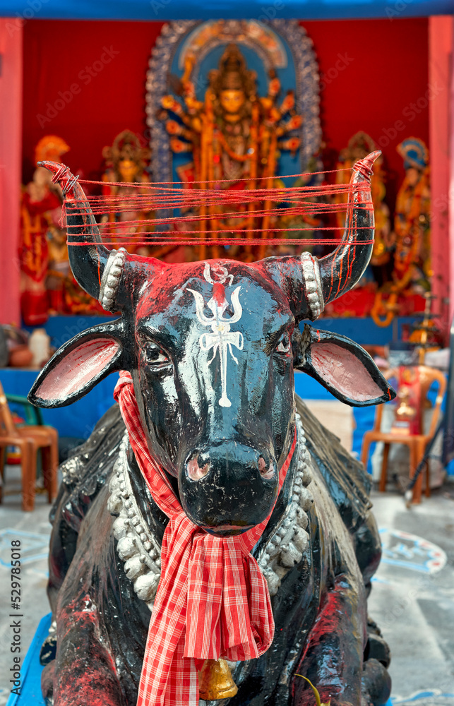 Installation of life size bull, named Nandi, the vahana (divine carrier ...