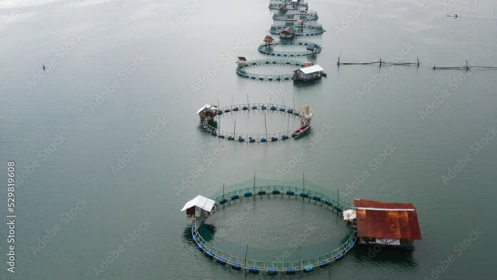 Fishing industry. Fish farming on an industrial scale. Aerial view of ...