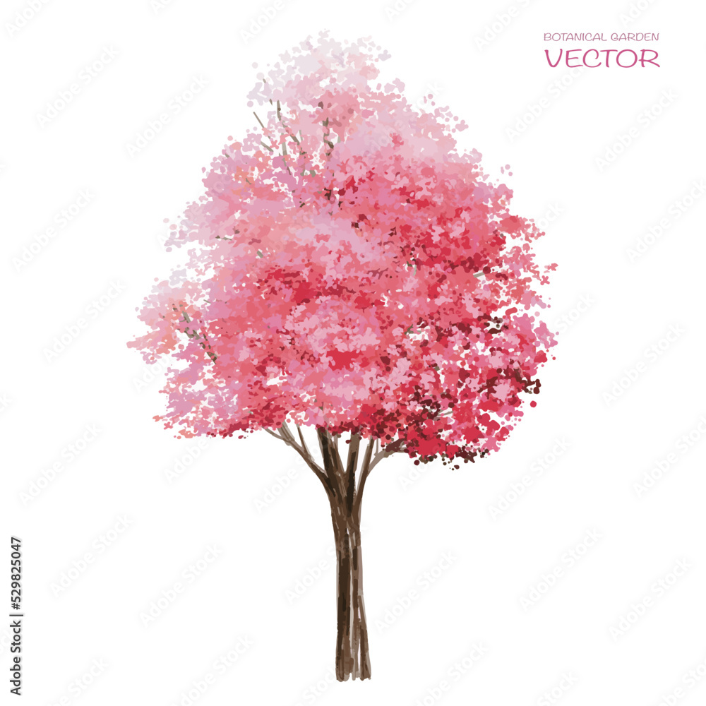 Vector watercolor blooming flower tree or forest side view isolated on ...