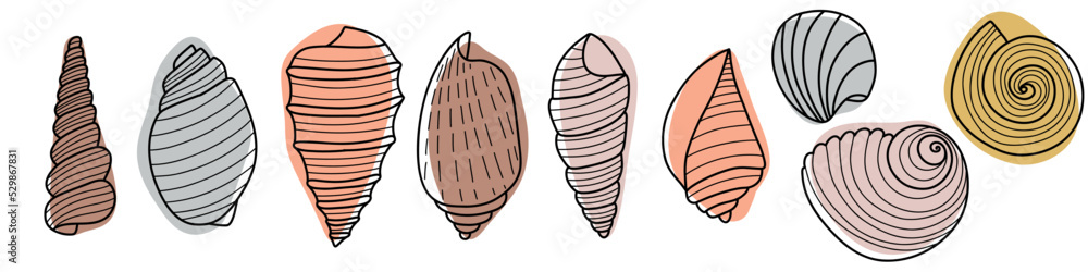 Set of line art sketch seashells. Vector illustration isolated from ...