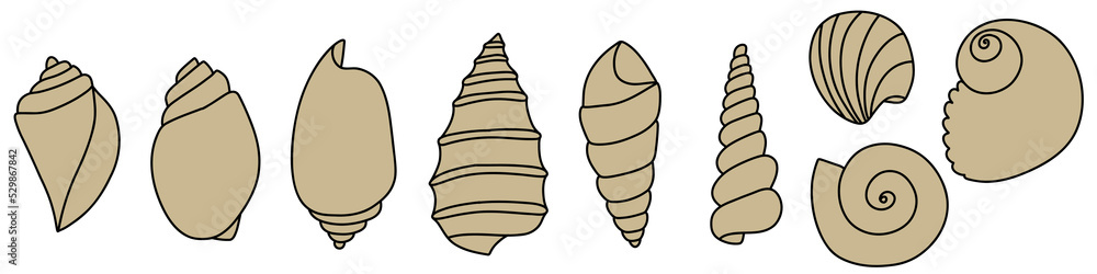 Set of line art sketch seashells. Vector illustration isolated from ...