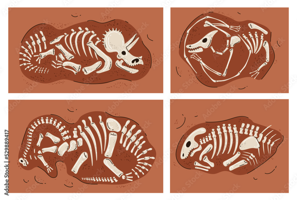 Dinosaur skeleton fossil bone paleontology museum concept. Graphic ...