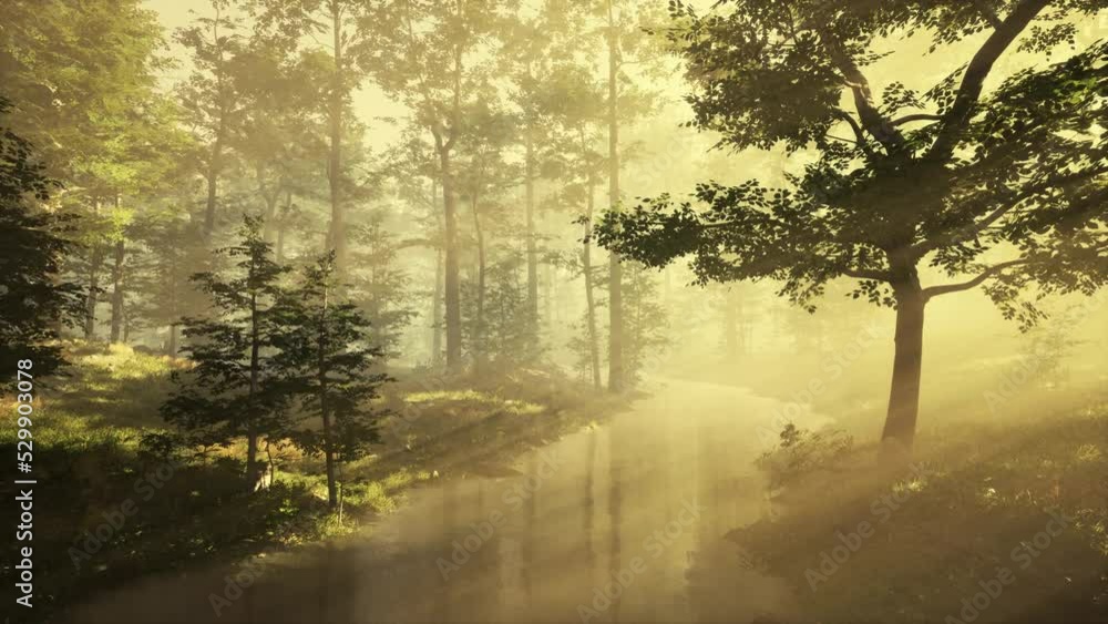 FPV flight scene of cinematic autumn season forest Stock Video | Adobe ...