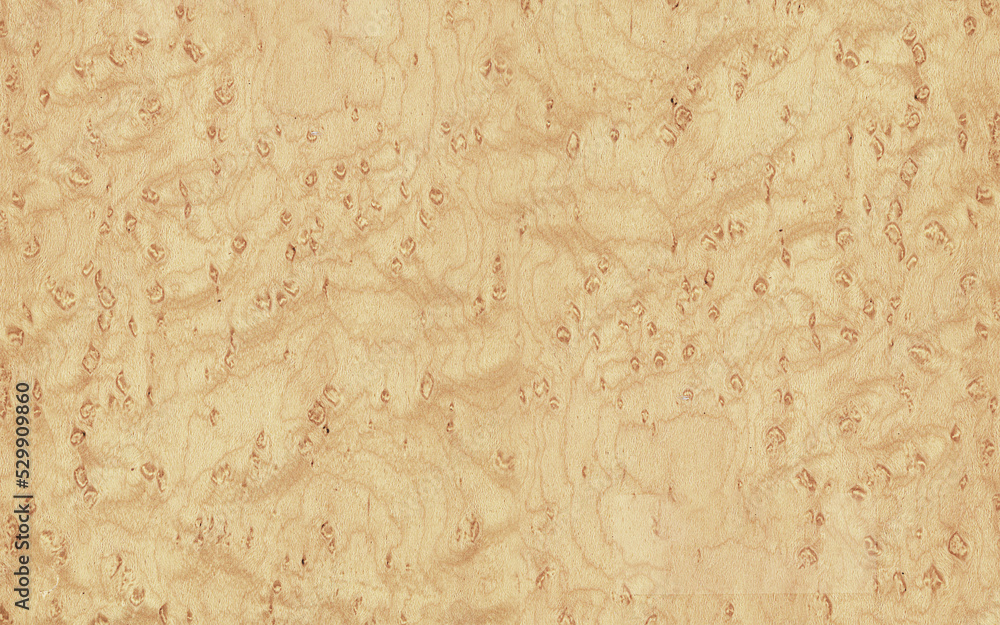 Bleached burl wood texture high resolution Stock Photo | Adobe Stock
