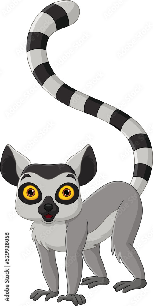 Cartoon cute lemur on white background Stock Vector | Adobe Stock