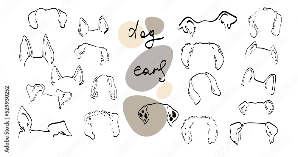 Pet dog Ears Outline Drawing doodle sketch vector icon illustration ...