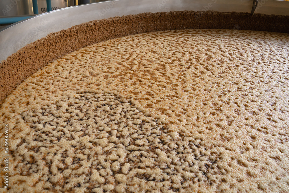 El jugo del agave o mosto se fermenta en un tanque de fermentación en ...