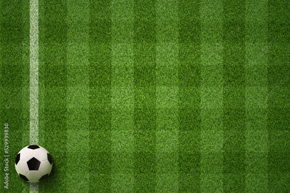 Grass Soccer Field Wallpaper