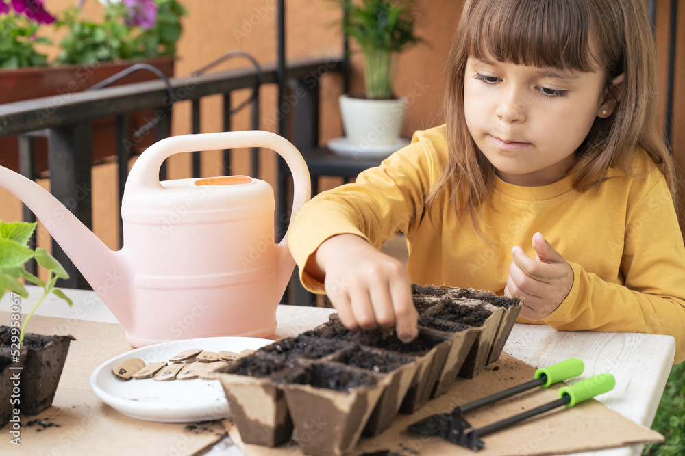 Little girl plants seeds in the ground. Child plants cucumber seeds for ...