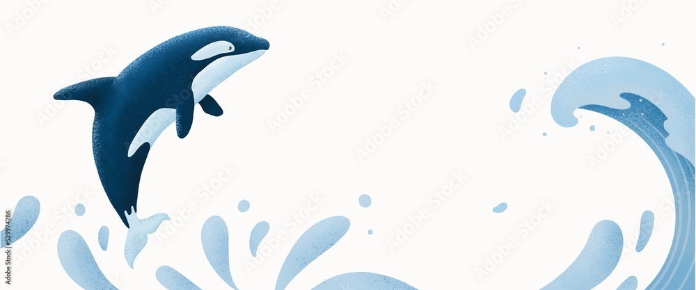 Orca sea banner. White mode background texture with illustration of a ...