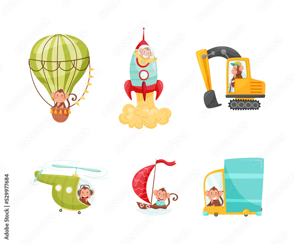 Funny Monkey with Protruding Ears Driving and Riding Different ...
