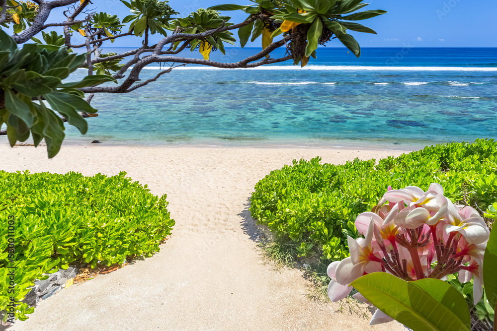 fleurs tropicales exotiques sur plage paradisiaque , île de la Réunion ...
