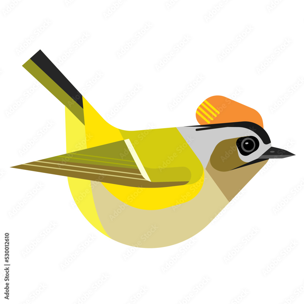 illustration of a Flamecrest Bird vector , png , svg , jpeg Stock ...