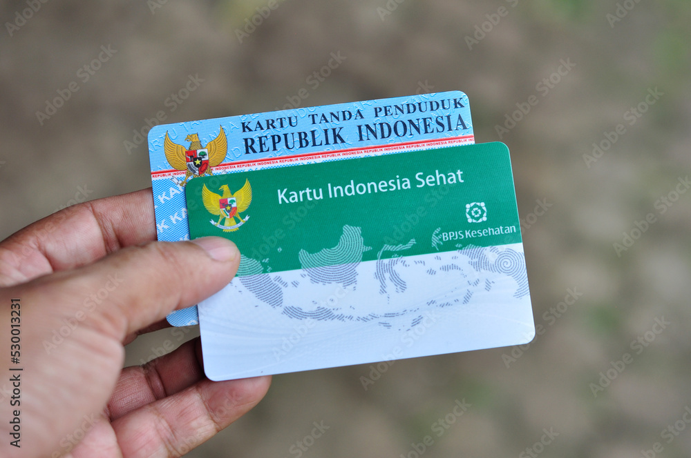 Holds a Healthy Indonesia Card (Health Insurance card from the ...