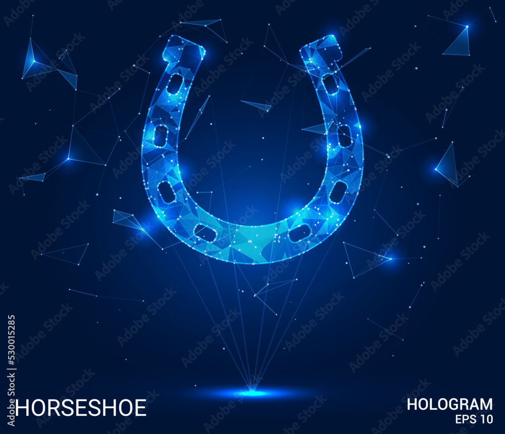 A horseshoe hologram. A horseshoe of polygons, triangles of points and ...