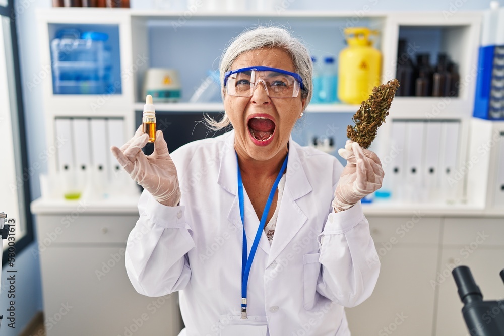 Middle age woman with grey hair doing weed oil extraction at laboratory ...