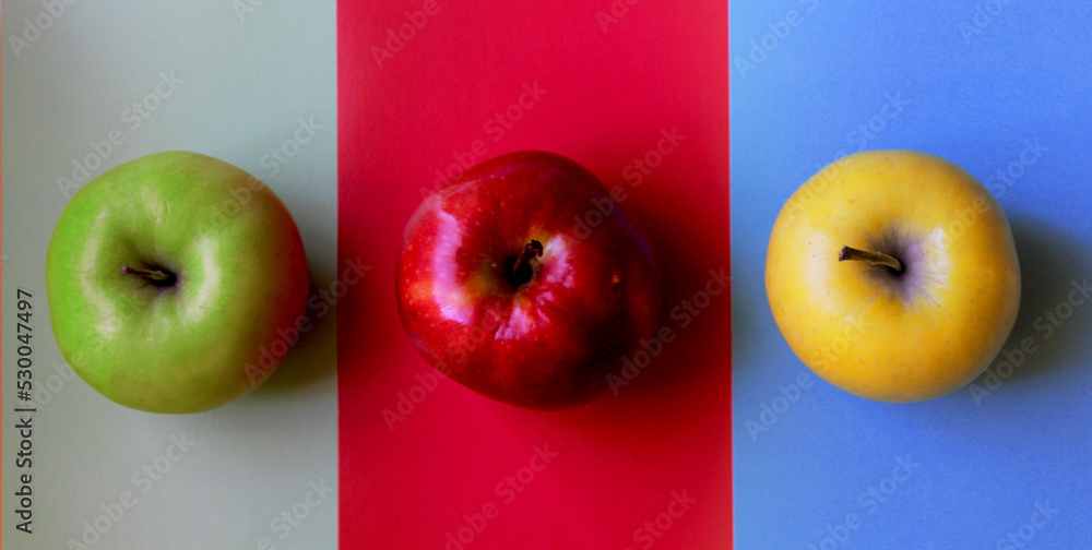 smiling pregnant woman showing ultrasound picture of her unborn baby ...