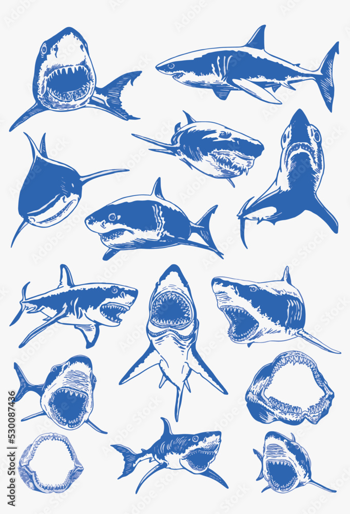 Graphical color collection of blue sharks isolated on white, marine ...