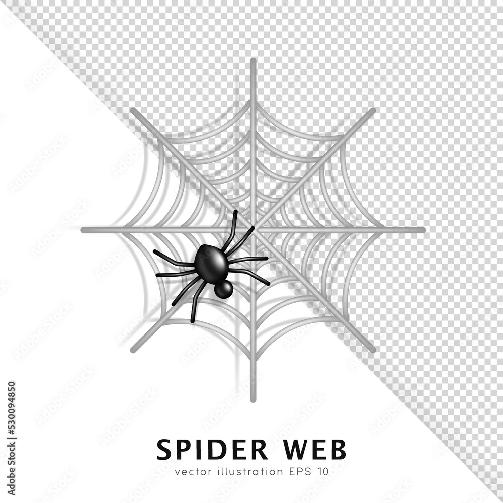 3D grey cobweb with black venomous spider isolated on white and ...