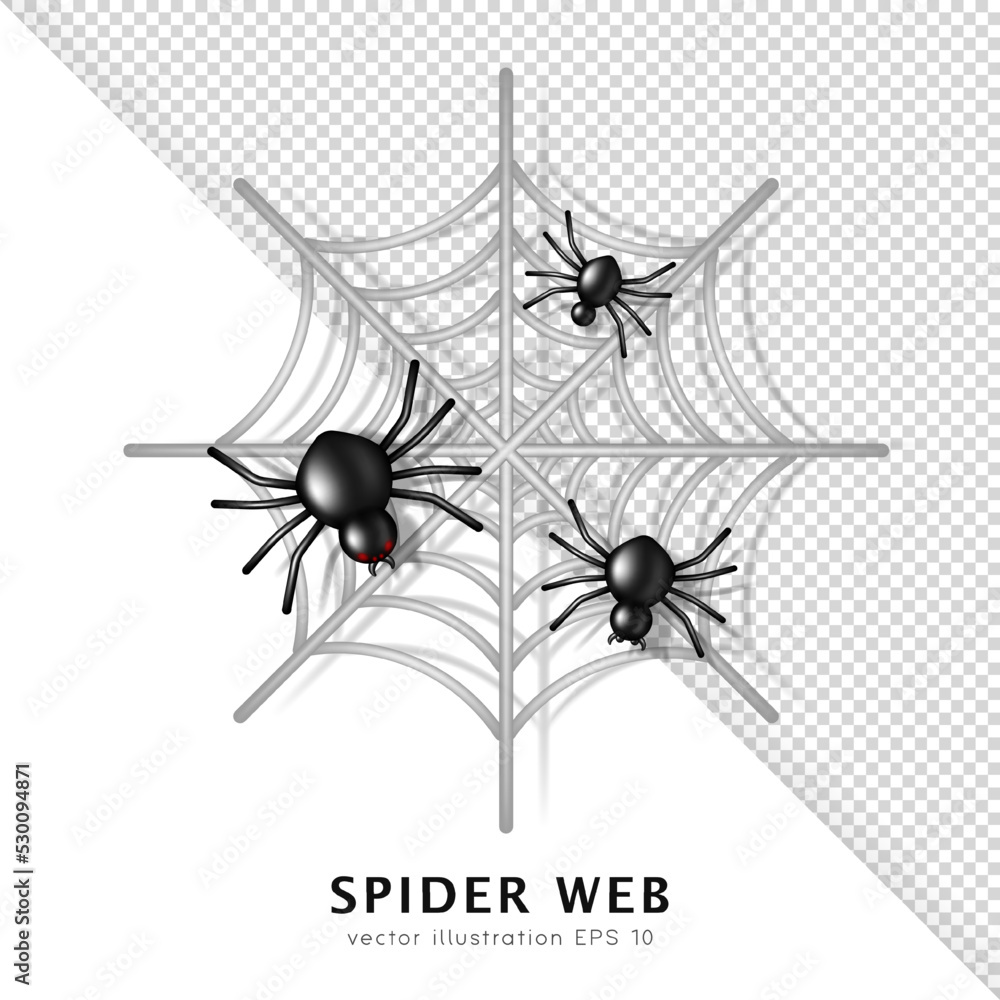 3D grey cobweb with black venomous spiders isolated on white and ...