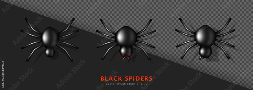 Set of three different 3D black glossy venomous spiders with shadow ...