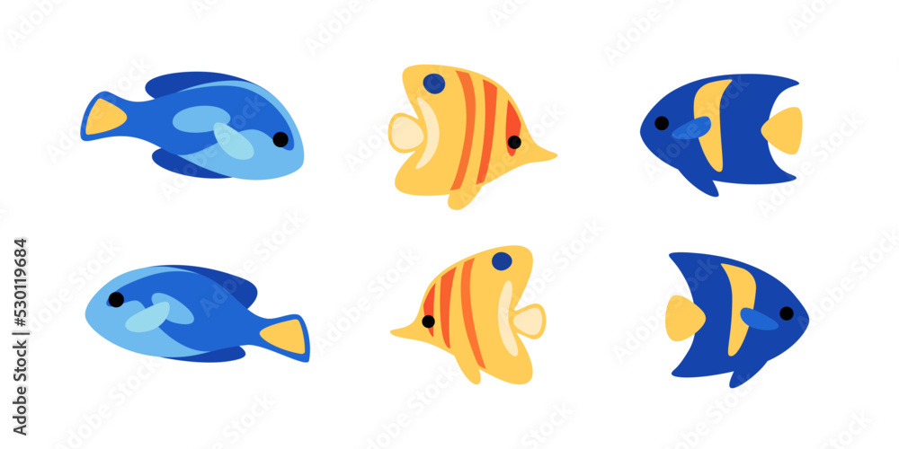 Group of fishes - tropical fishes isolated on white background. Surgeon ...