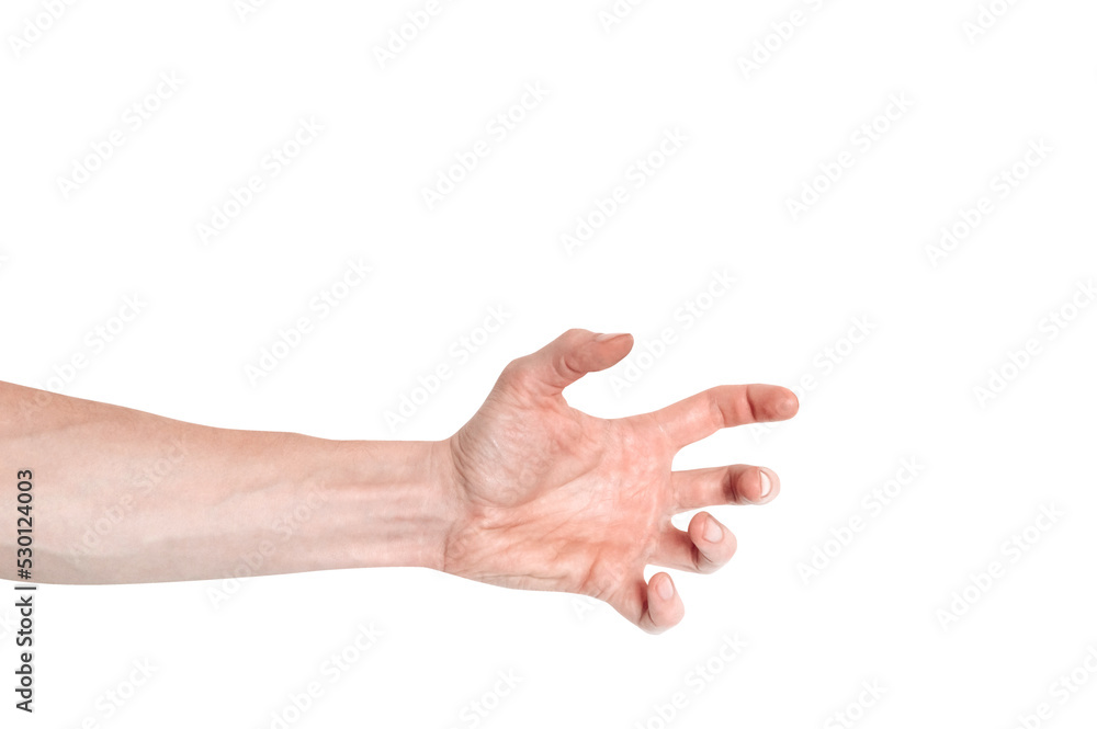 Realistic human hand showing gesture. White skin man arm isolated on ...