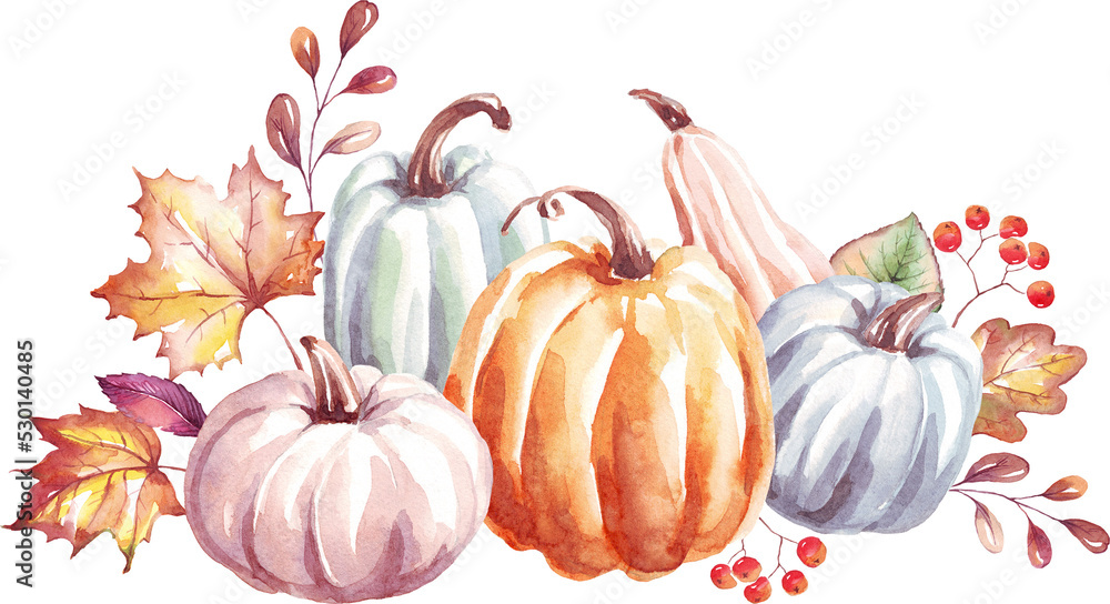 Pumpkins Stock Illustration | Adobe Stock