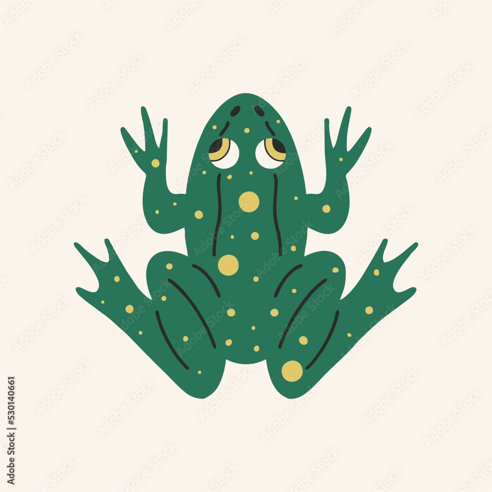 Drawing vector of a green frog with yellow spots. Top view, realistic ...