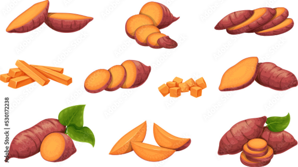 Sweet potato set vector illustration. Cartoon isolated orange organic ...